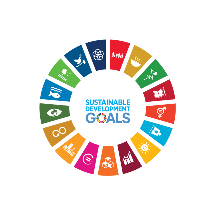 Sustainable Development Goals (SDGs) for the pelagic fishing sector ...
