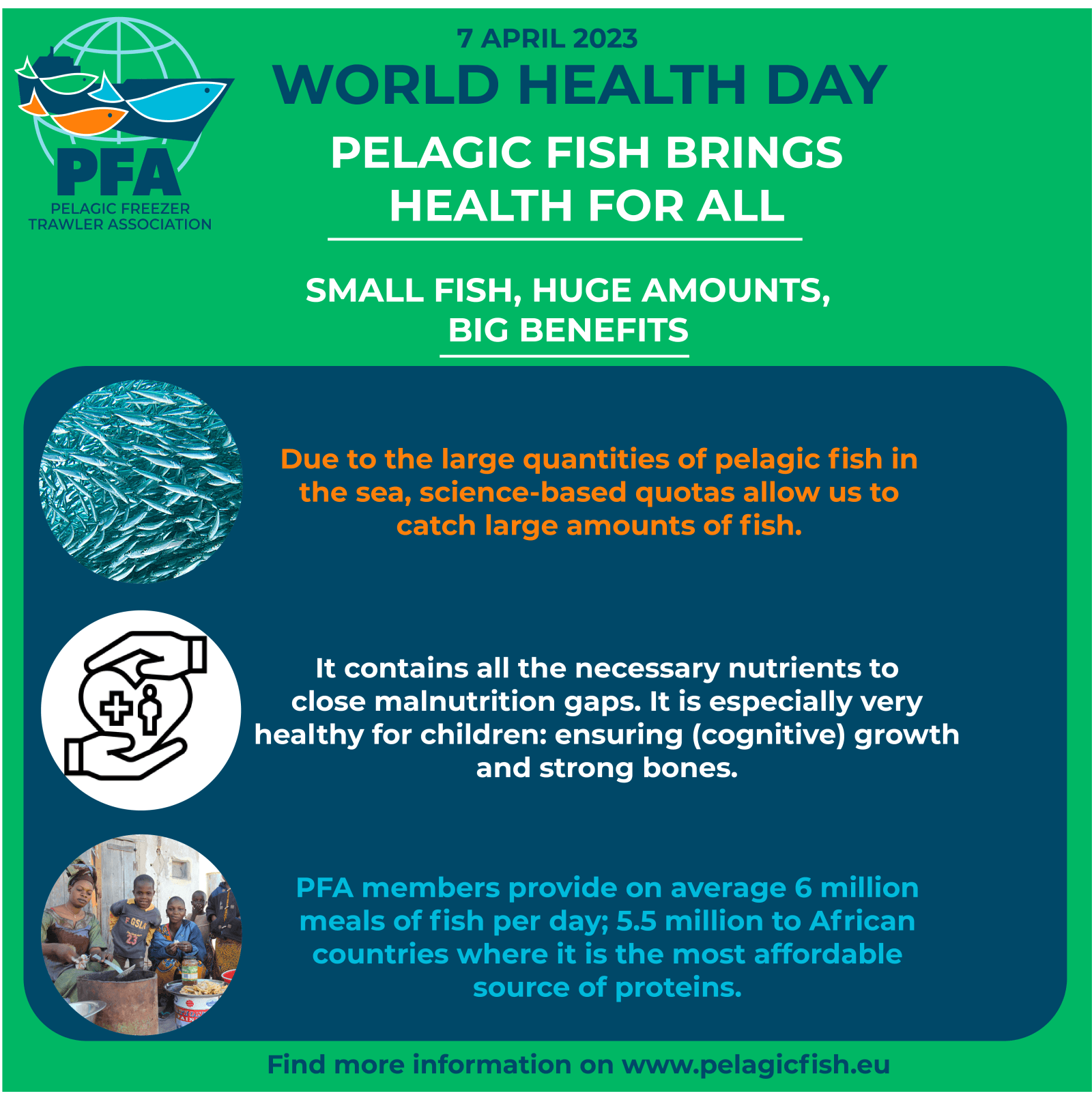 Pelagic fish contributes to Health for All - Pelagic Freezer Trawler ...