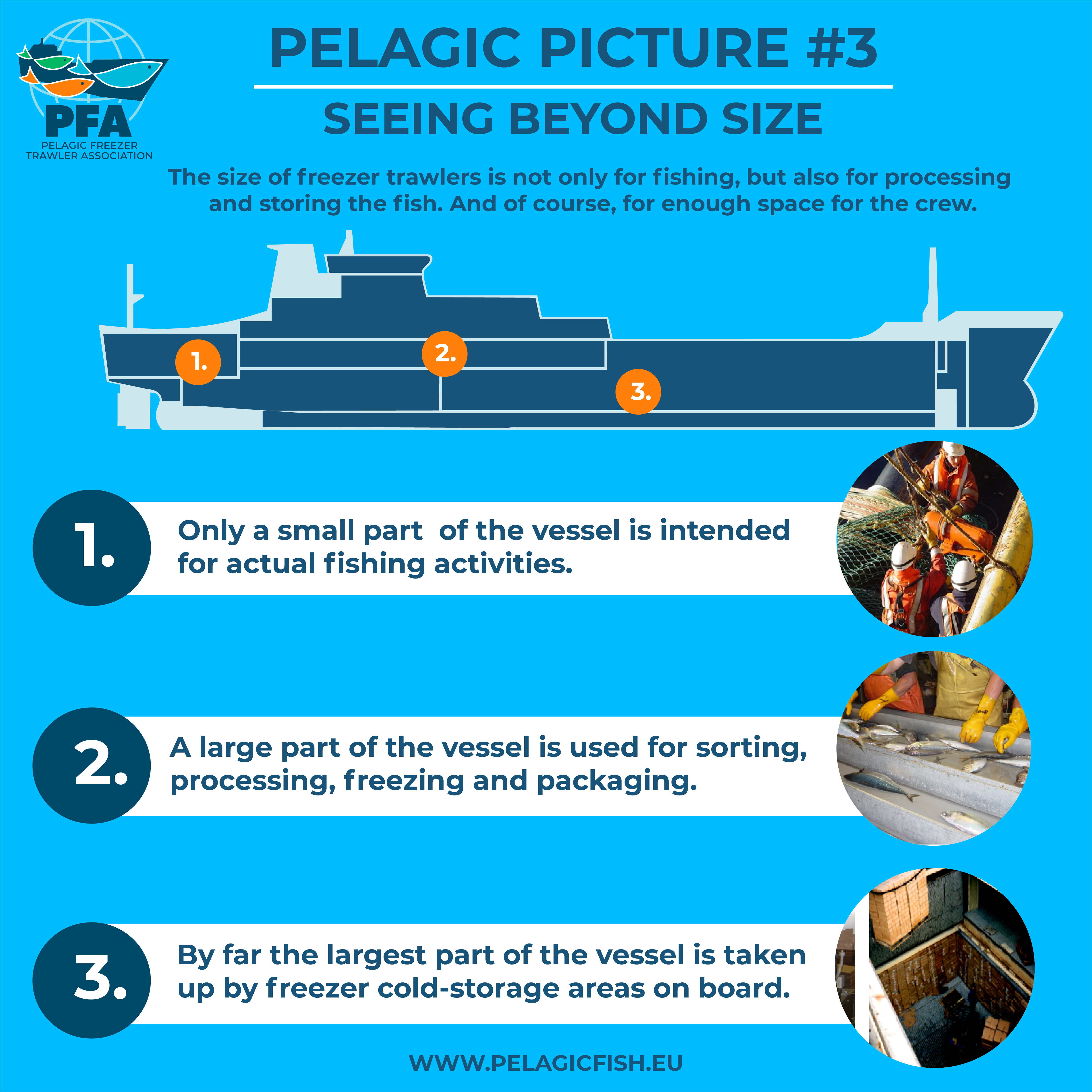 Pelagic Picture #3 - Seeing Beyond Size - Pelagic Freezer Trawler ...