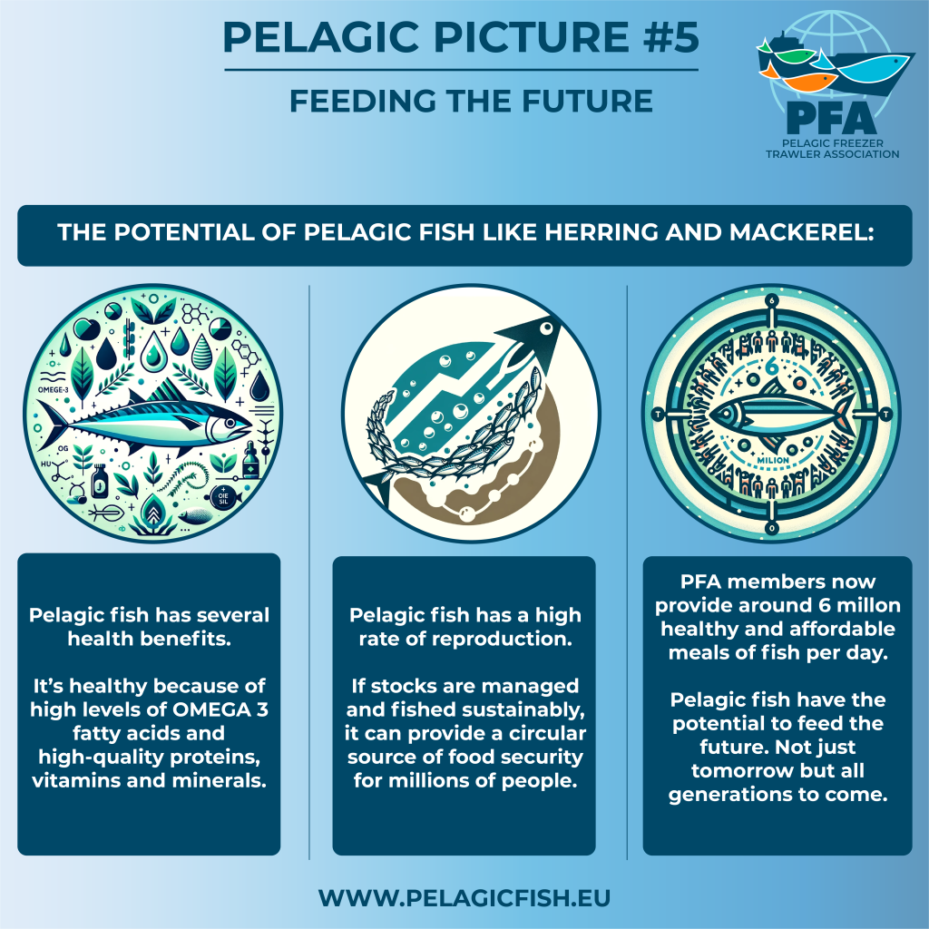 Pelagic Picture #5 - Feeding the Future - Pelagic Freezer Trawler ...